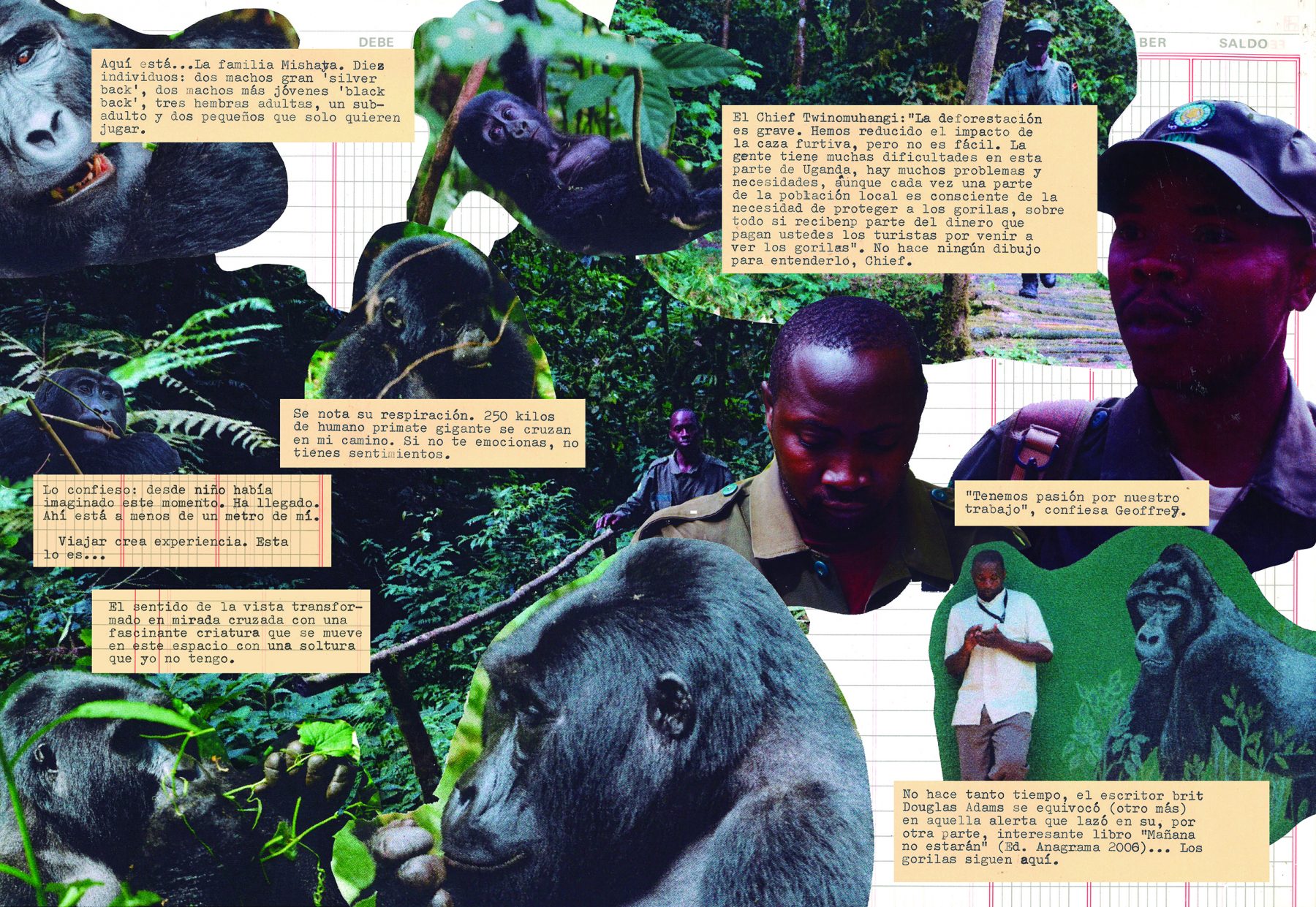 Primo primate - Altaïr Magazine