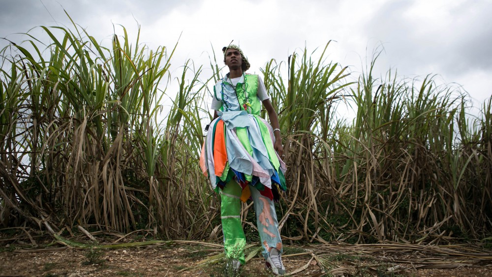 Raíces ocultas - Altaïr Magazine